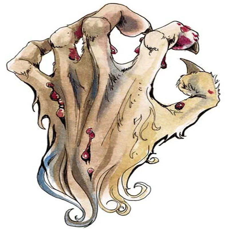 Divinità – Faerun's Legends